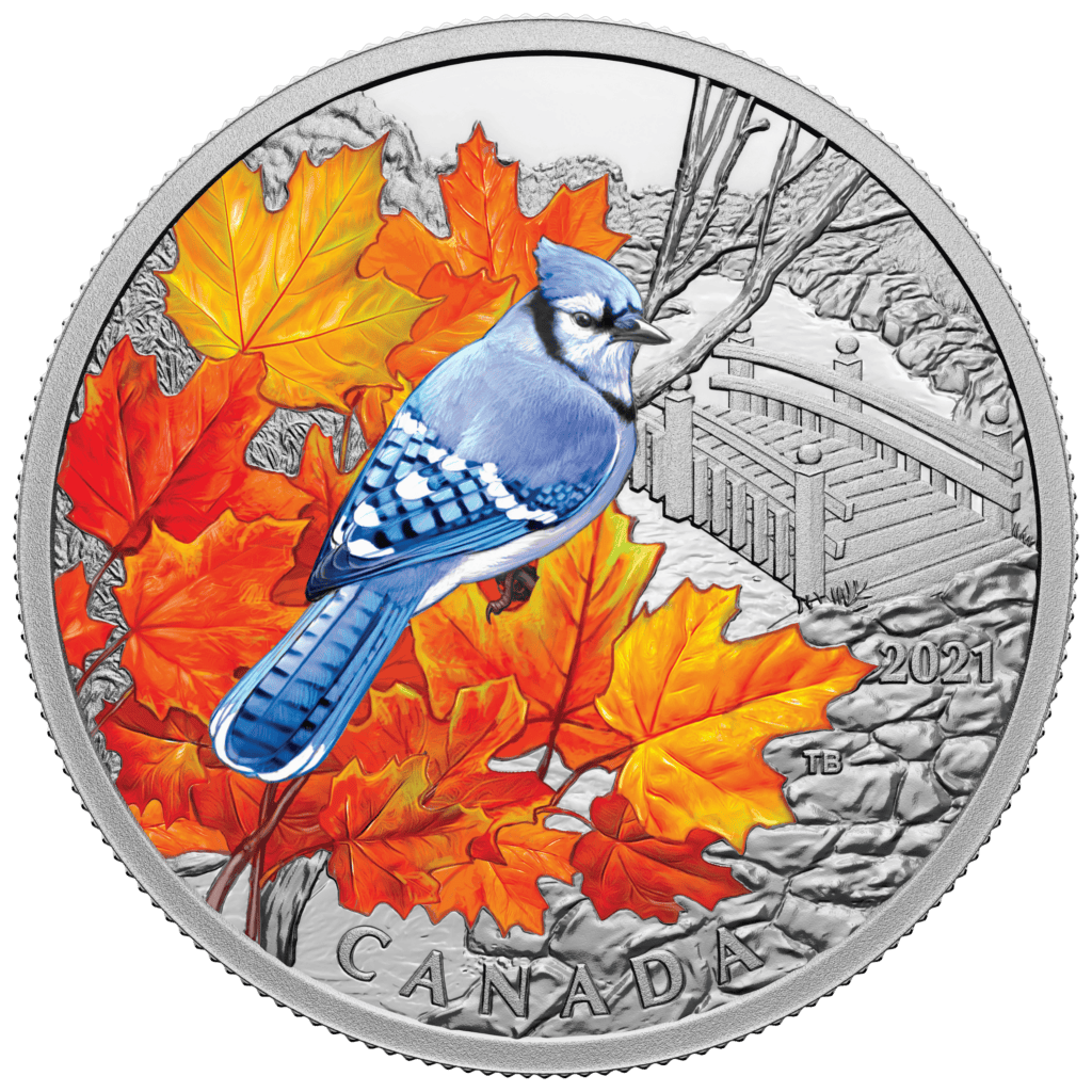 2021 Colourful Birds: Blue Jay 1 oz. Pure Silver Coin