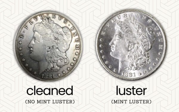The Coin Grading Scale: Complete Guide & Chart - GR Reserve